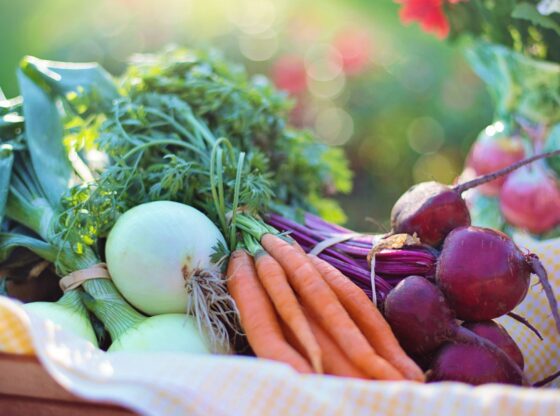 Vocabulario de las verduras (hortalizas) en español » Hiszpański dla ...